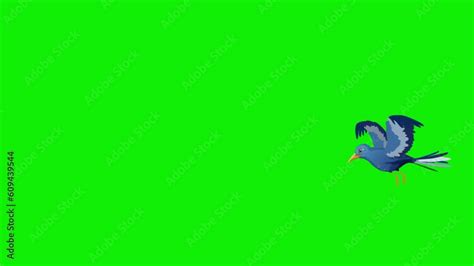 2d Bird Flying Frame By Frame Animation 4k Screen Green Stock Video