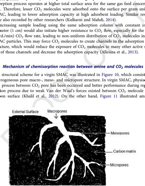 Pore Structure Of Virgin Activated Carbon Download Scientific Diagram