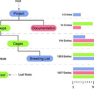Graphical Illustration Of The Database Relations Shown As Tree Download Scientific Diagram