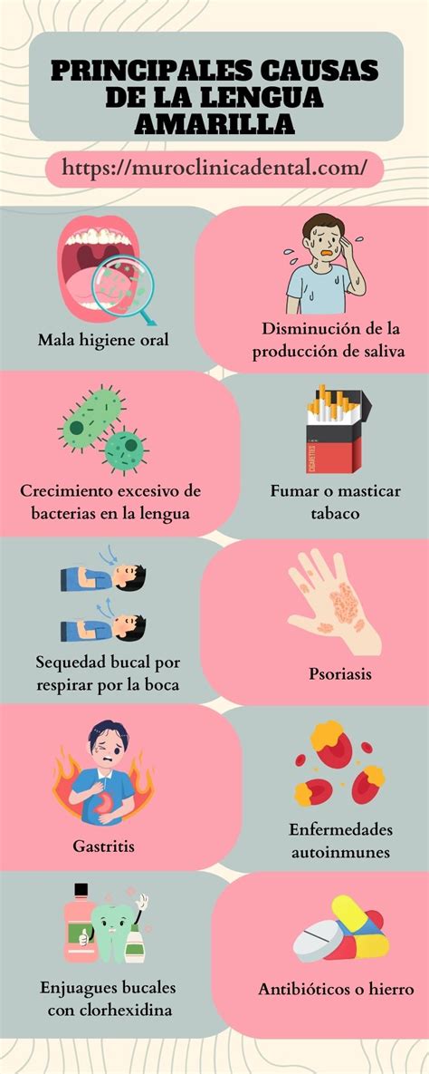 Lengua Amarilla Causas Tratamientos Y Cómo Evitar Este Problema