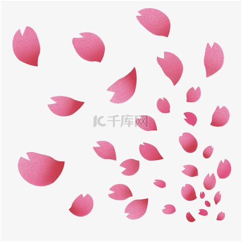 粉红樱花花瓣飘落素材图片免费下载 千库网