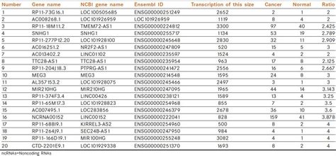Noncoding Rna Small Nucleolar Rna Host Gene 1 Promote Cell P Indian Journal Of Cancer