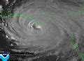 Categoryhurricane Elena Wikimedia Commons