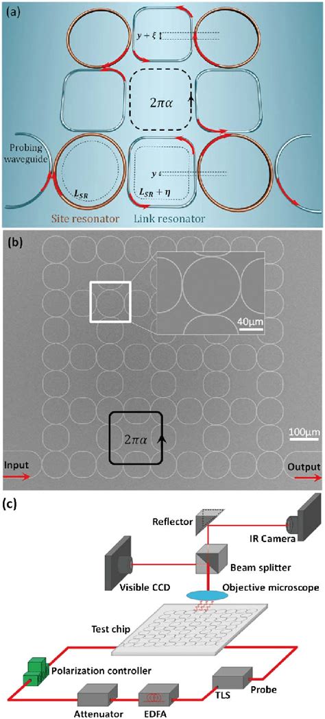 Experimental Configuration A Schematic Of A 2 × 2 Microring Array Download Scientific