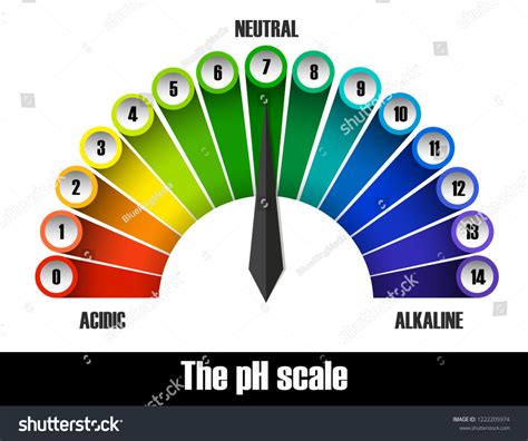 Ph Scale Chart Illustration Stock Vector Royalty Free