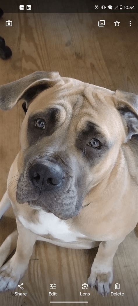 Scratched Eye Something Else Rcanecorso