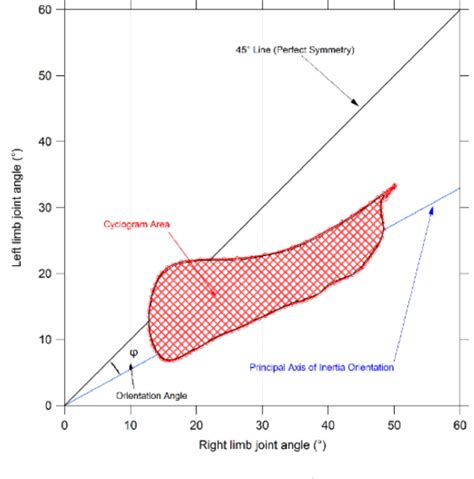 Figure 1 From Kinematic Analysis Of Lower Limb Joint Asymmetry During Gait In People With