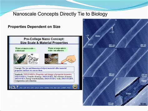 Nanotechnology And Biotechnology Ppt Chemistry Science