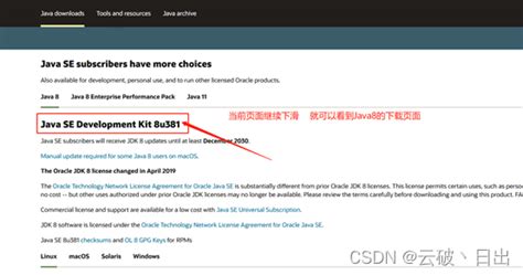 最新 新手入门教程 Jdk8u381的下载安装以及环境变量的配置 Csdn博客
