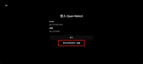 在 Open webui 使用自己的 API key