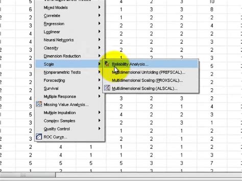 การหาค่าความเที่ยง โดยโปรแกรม Spss Youtube