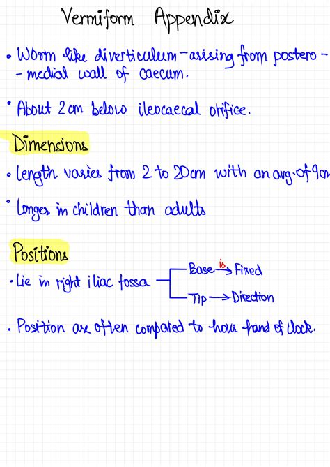 Solution Vermiform Appendix Anatomy Studypool Solution Vermiform Appendix Anatomy Studypool