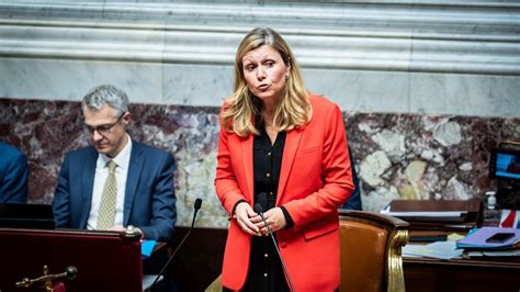 Conseil Constitutionnel Rejette Recours Lfi Contre Réélection Yaël