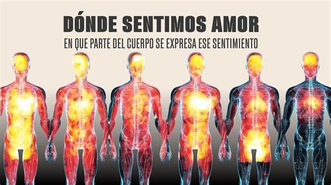 El Mapa Corporal Del Amor En Qué Zona Sentimos Cada Tipo De Afecto
