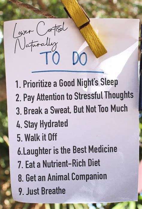 How To Lower Cortisol Naturally To Reduce Stress Revive Detox