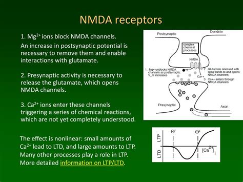 Advanced Topic In Cognitive Neuroscience And Embodied Intelligence