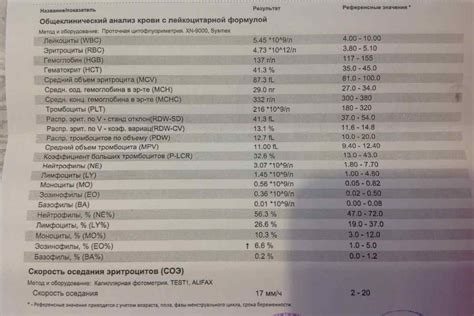 Висока СОЕ при нормальних лейкоцитах розшифровка аналізів можливі причини підвищення СОЕ