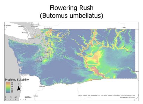 The Process Of Developing Species Distribution Modeling Using Maxent Blog