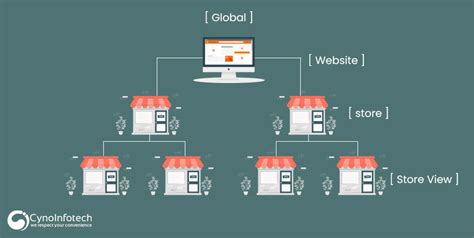 Difference Between Website Store And Store View In Magento 2 Cynoinfotech