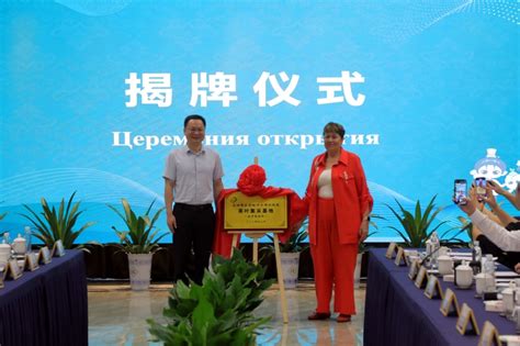 桃江县人民政府网站