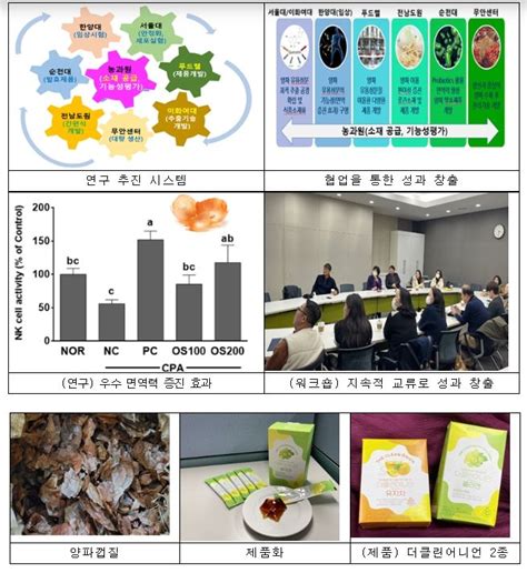 버려지던 양파껍질 ‘면역력 높이고 ‘스트레스 낮춘다