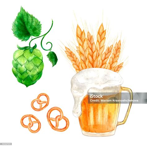 요소 세트 맥주 홉 맥아 브레젤 디지털 수채화 그림 Octoberfest 섬유 인테리어 의류 벽지 식기 문구류에 대한 템플릿 디자인 곡초류에 대한 스톡 벡터 아트 및 기타