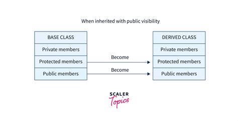 Multiple Inheritance In C Scaler Topics