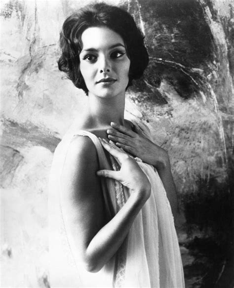 Rosemary Dexter