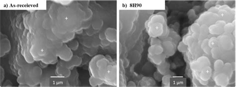 Sem Micrographs Of A As Received Smectite Clay Showing Typical Download Scientific Diagram