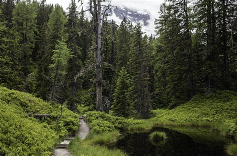 Rauriser Urwald Naturlehrweg Mamilade Ausflugsziele