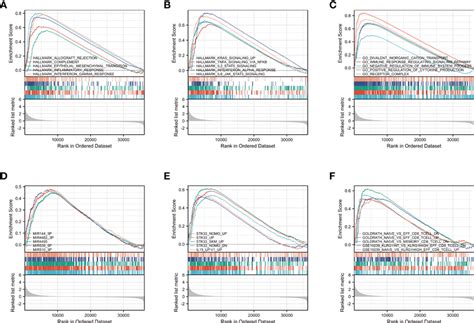Enrichment Analyses From Gene Set Enrichment Analysis Gsea Af