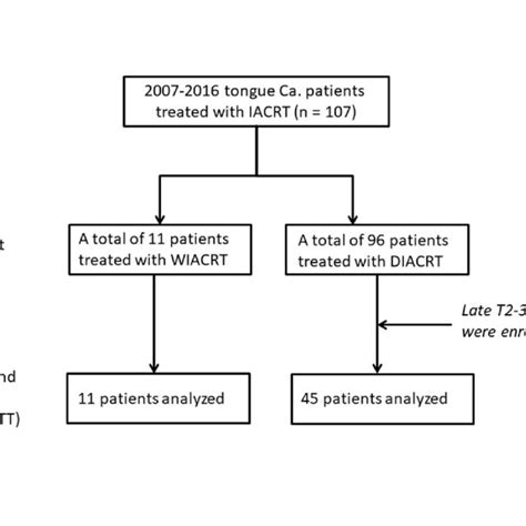 A The 5 Year Local Control Lc And B Overall Survival Os Rates Download Scientific Diagram