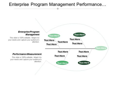 Enterprise Program Management Performance Measurement Strategic Result Data Integration