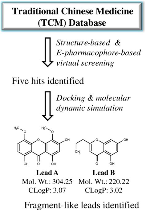 In Silico Approach Used For The Identification Of Fragment Like Leads