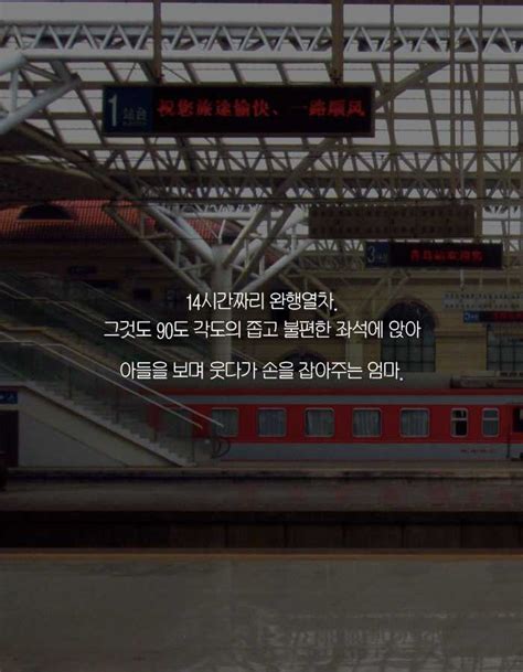 서른 살 아들과 예순 살 엄마의 세계여행 네이트 판