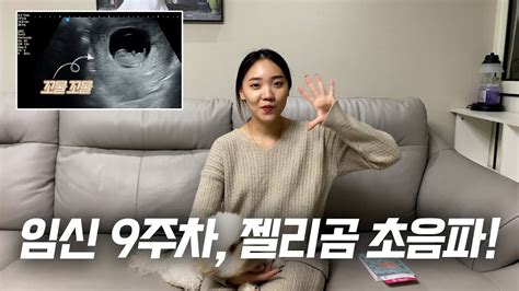 임산부 Vlog 임신 9주차 젤리곰 초음파 확인｜너무 귀엽잖아 Youtube