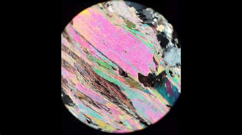 Your Guide To Identifying Biotite Under The Microscope Easily