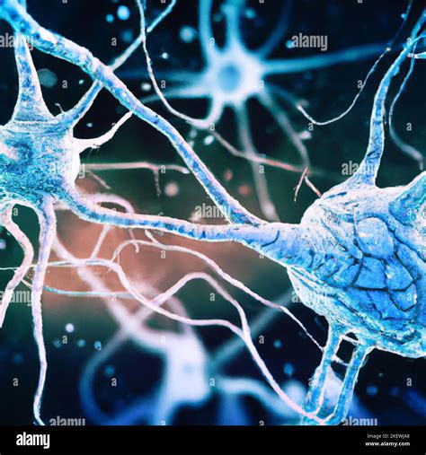 Microscopic View Of The Synapses Brain Connections Neurons And Synapses Communication And