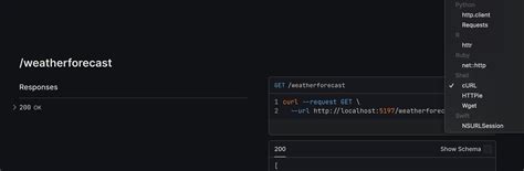 An Alternative To Swagger In Net 9 Scalar Emin Vergils Blog