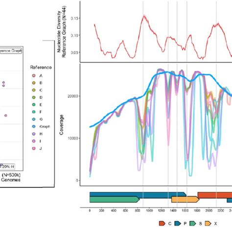 Alignment And Depth Of Coverage Across The Hbv Genome For Simulated Hbv Download Scientific
