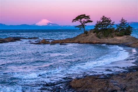 横須賀市 くりはま花の国体験観光スポット 公式神奈川県のお出かけ観光旅行サイト観光かながわNOW