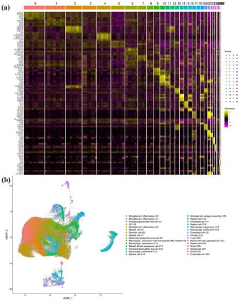 Figure 1 From Tumor Microenvironment And Genes Affecting The Prognosis Of Temozolomide Treated