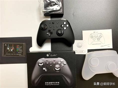 Switch手柄键位名称图解 Switch的最佳伴侣——谷粒金刚pro手柄 一阵风清浪的博客 Csdn博客