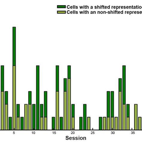 Neurons With Different Spatial Reference Frames Were Recorded