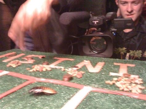 Cockroach Racing Alchetron The Free Social Encyclopedia