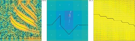 A Signal Spectrogram Of A Bat Signal With The Zeros And The Ridges