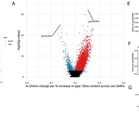 Fibre Type Related Dna Methylation Loci Across Sex Biased Dna