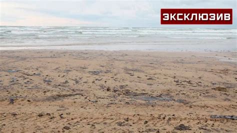 Эколог заявил об угрозе для туристического сезона на Черном море в 2025 году Лента новостей Крыма