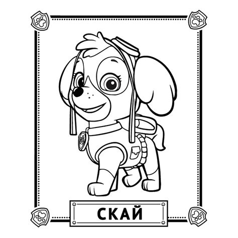 Раскраска Скай Щенячий патруль распечатать или раскрасить онлайн