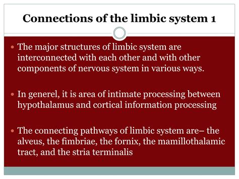 Limbicsystem Pptthe Limbic System Is A Group Of Interconnected Brain Structures That Help
